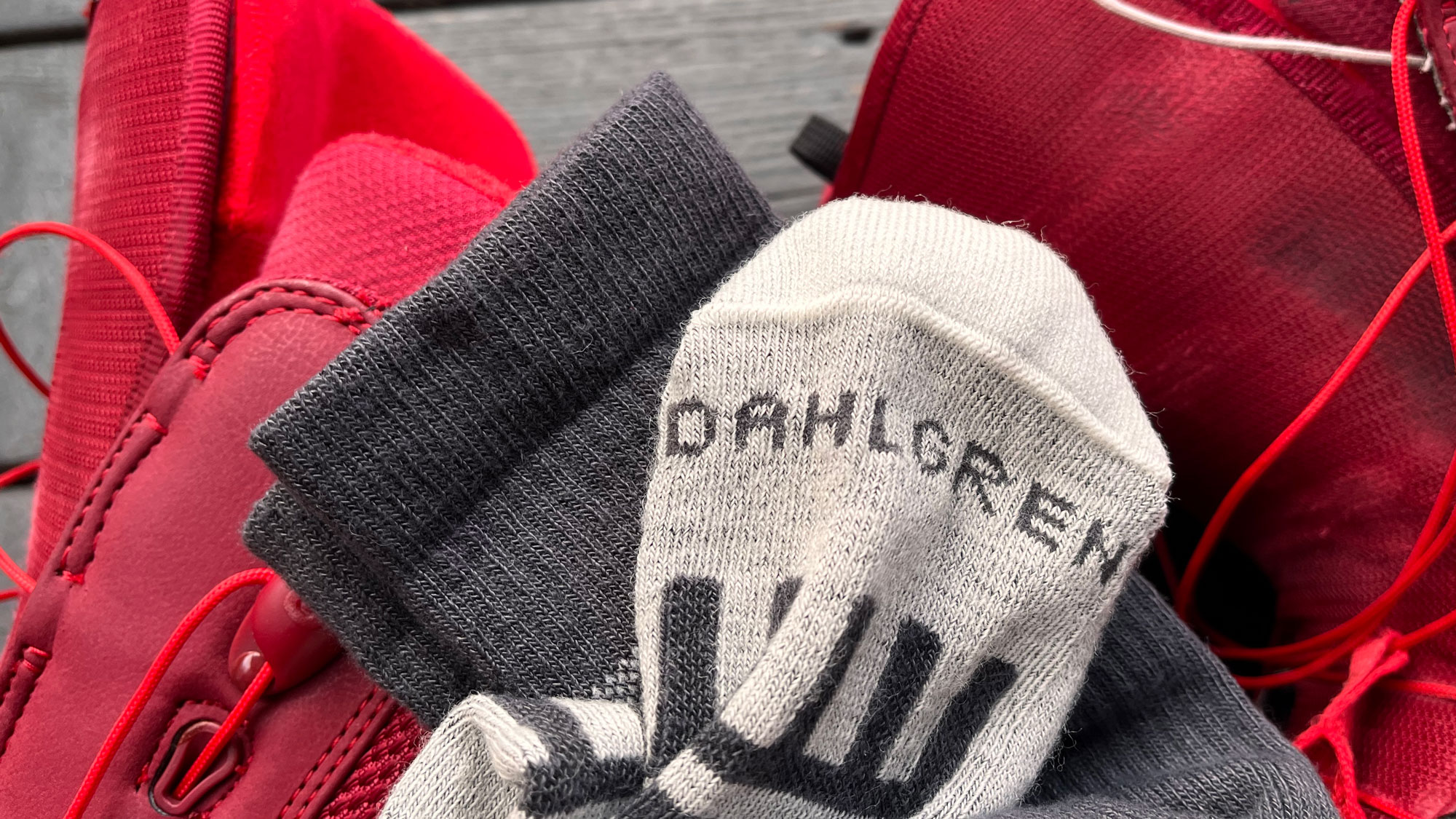 Dahlgren - SnowboardQuebec.com